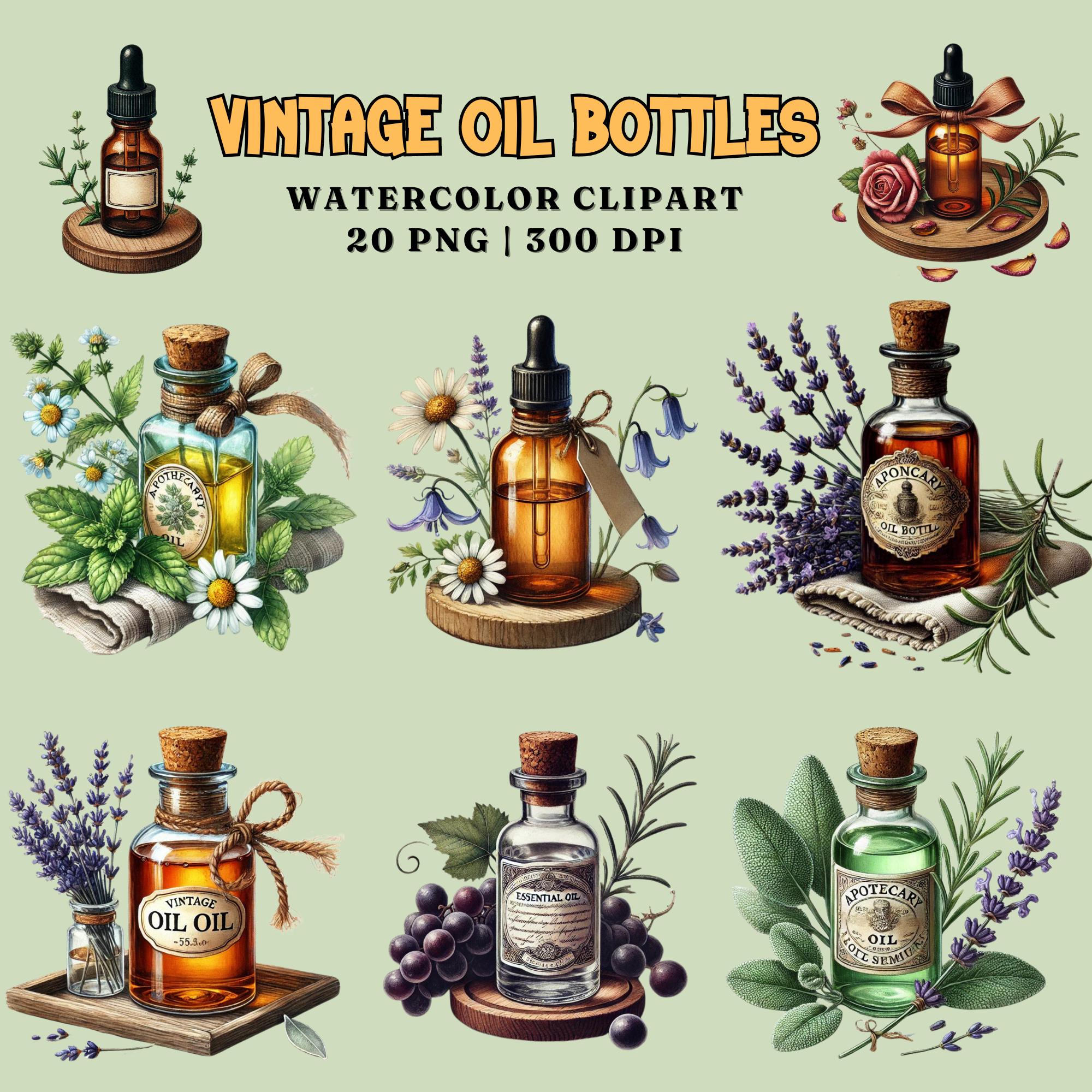 Vintage Oil Bottles Watercolor Clipart: Apothecary PNG Set (digital ...
