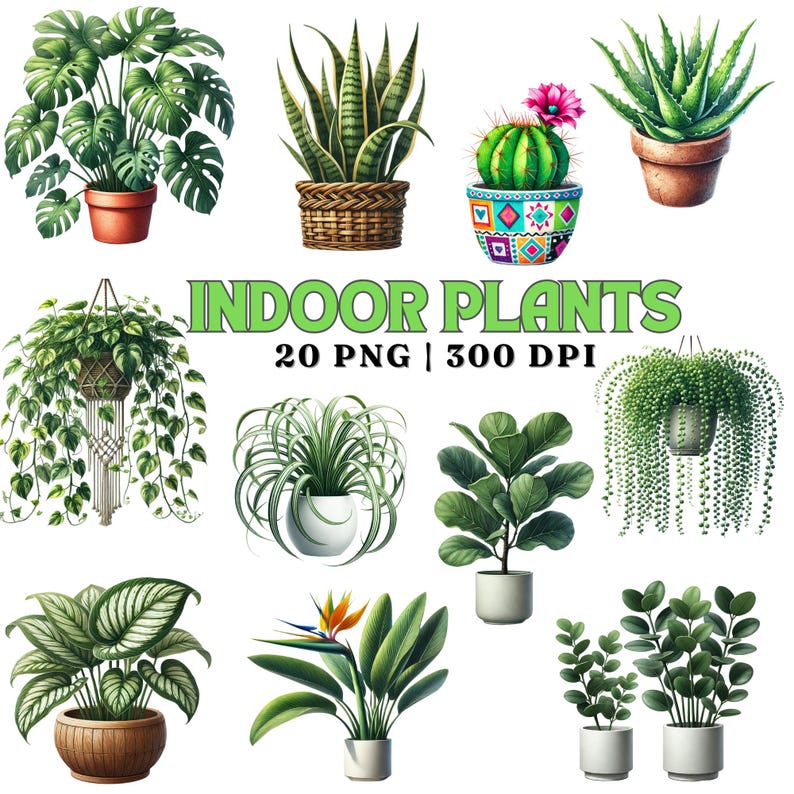 Indoor Plants Watercolor Clipart - 20 PNG Files, High-resolution 300 ...