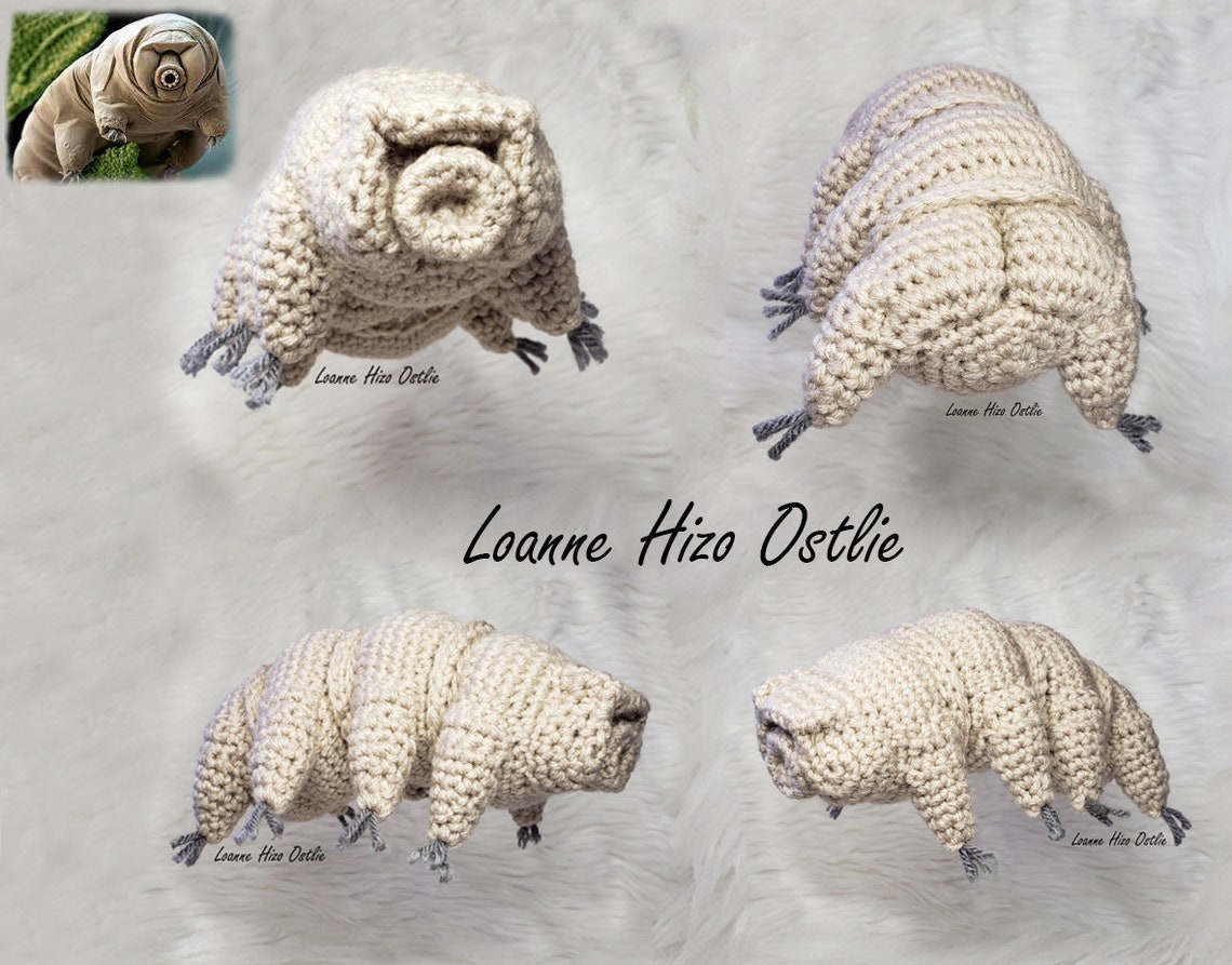 Crochet Tardigrade or Water Bear PATTERN Amigurumi Tardigrade | Etsy