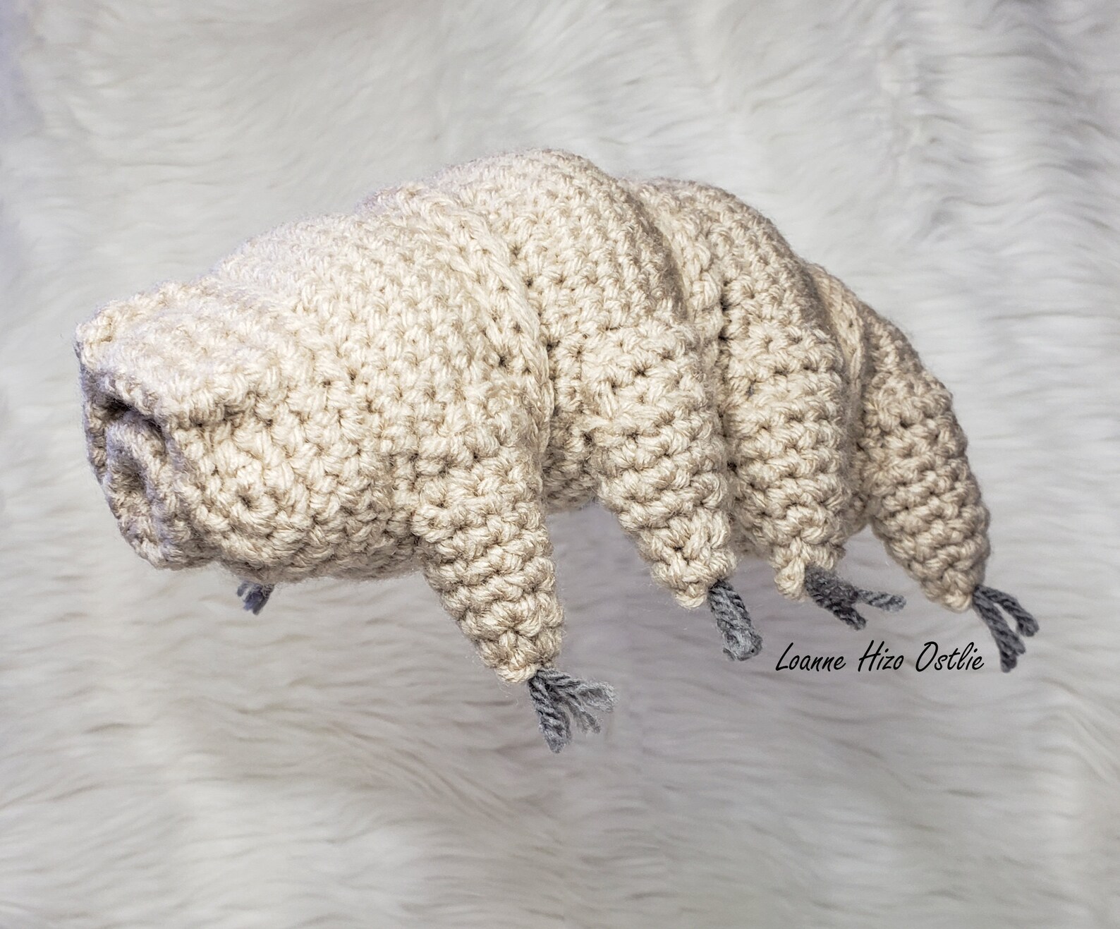 Crochet Tardigrade or Water Bear PATTERN Amigurumi Tardigrade | Etsy