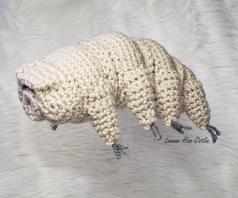 Crochet Tardigrade or Water Bear PATTERN Amigurumi Tardigrade | Etsy