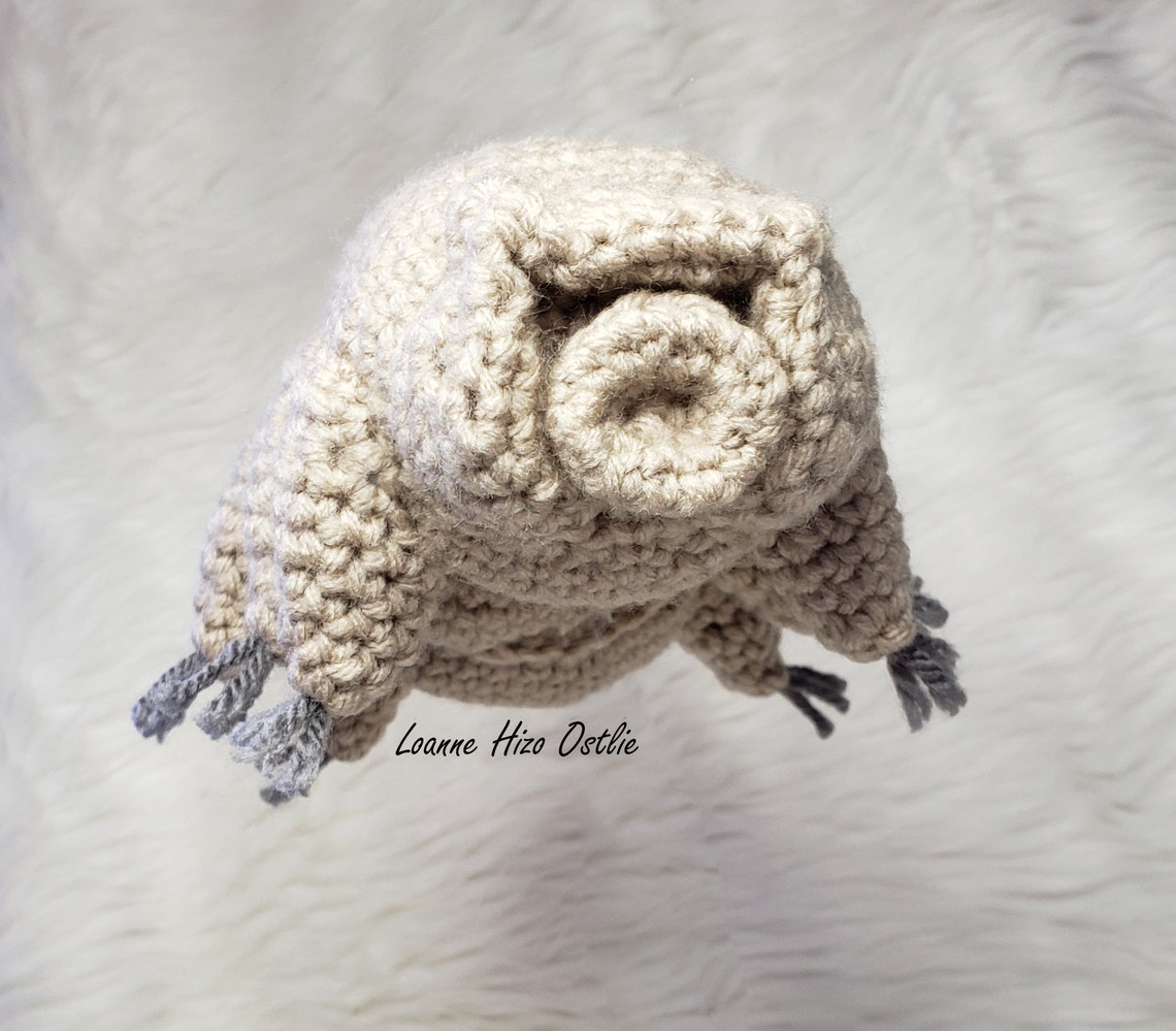 Crochet Tardigrade or Water Bear PATTERN Amigurumi Tardigrade | Etsy