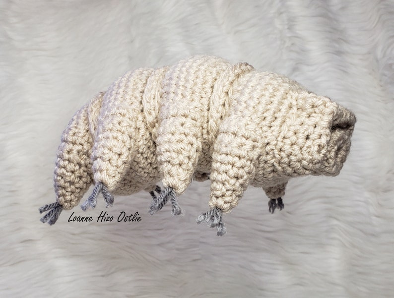 Crochet Tardigrade or Water Bear PATTERN Amigurumi Tardigrade Crochet ...