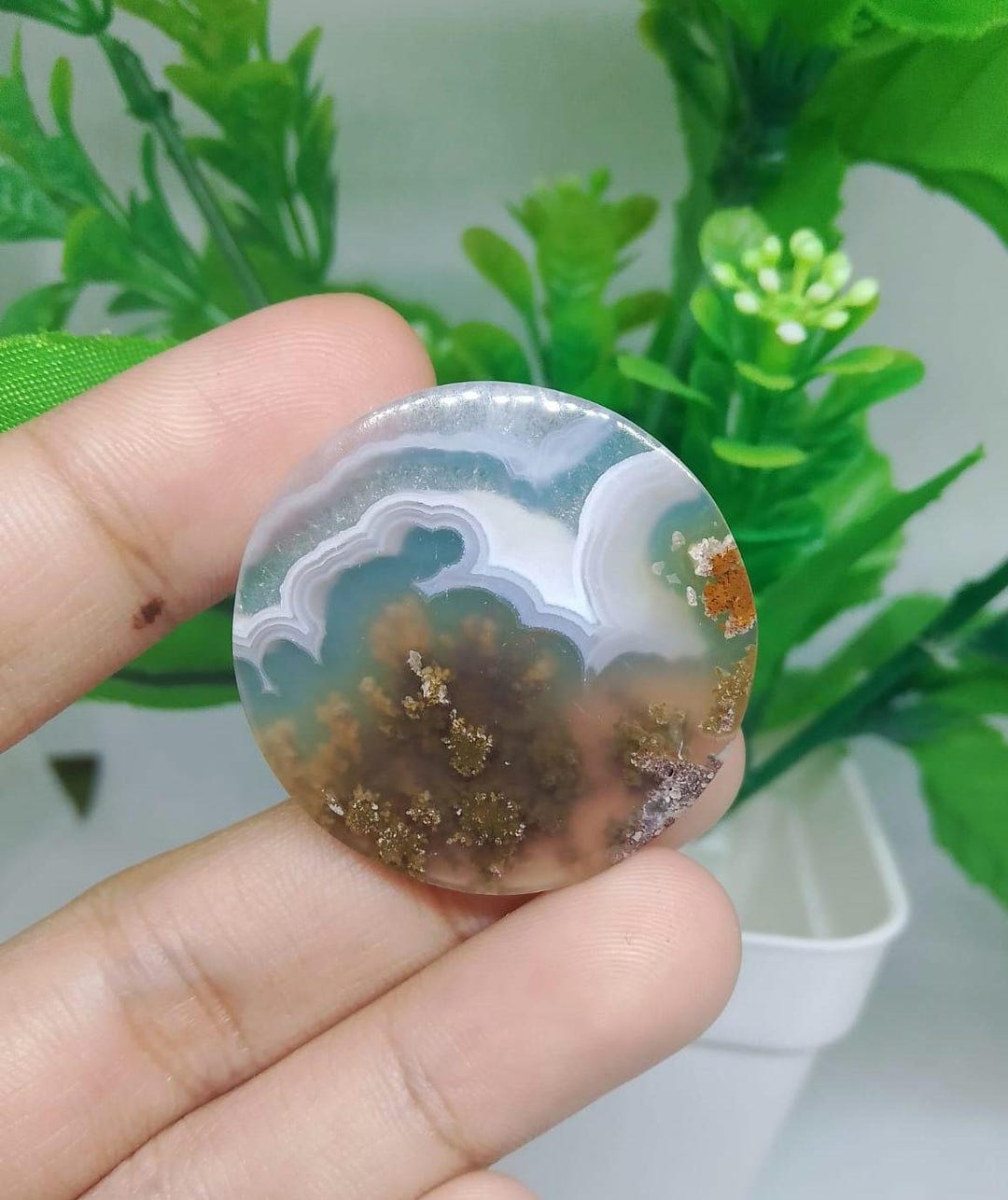 Rodaja redonda de ágata musgosa (32 mm) - Etsy México