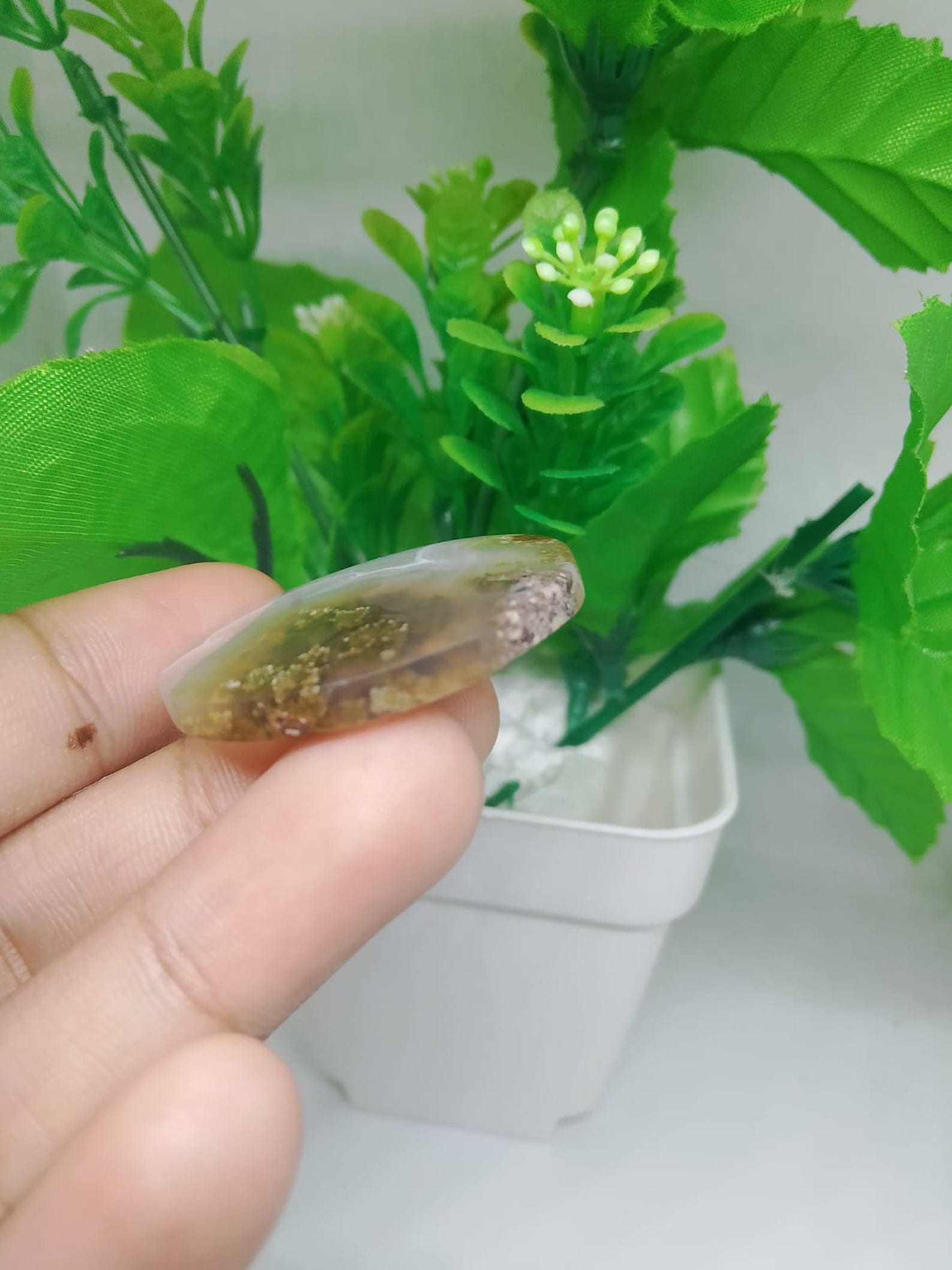 Rodaja redonda de ágata musgosa (32 mm) - Etsy México