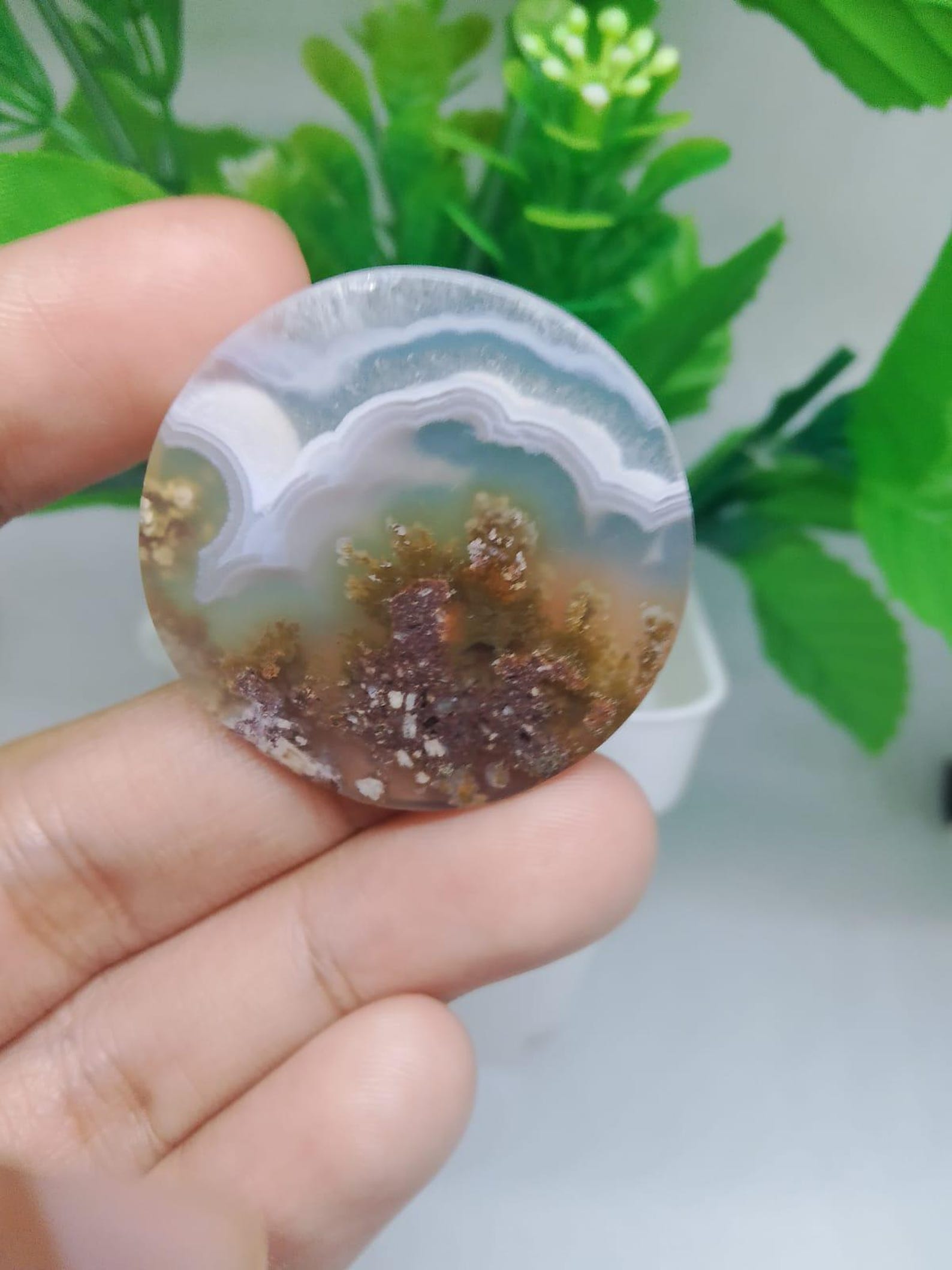 Rodaja redonda de ágata musgosa (32 mm) - Etsy México
