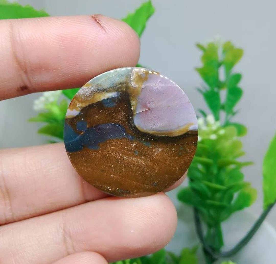 Opalized Petrified Wood - Etsy