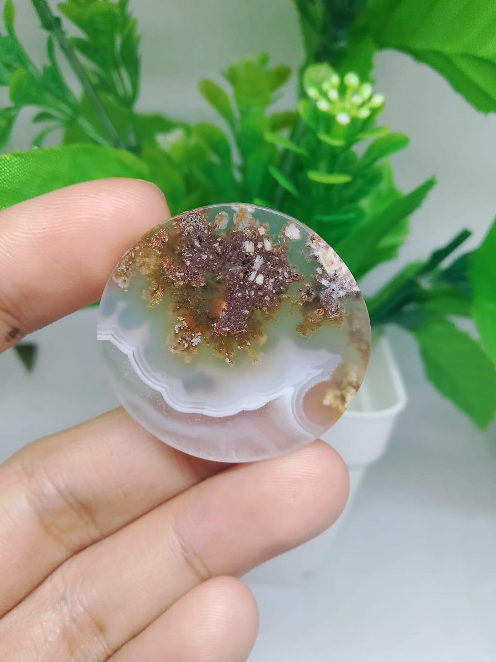 Rodaja redonda de ágata musgosa (32 mm) - Etsy México