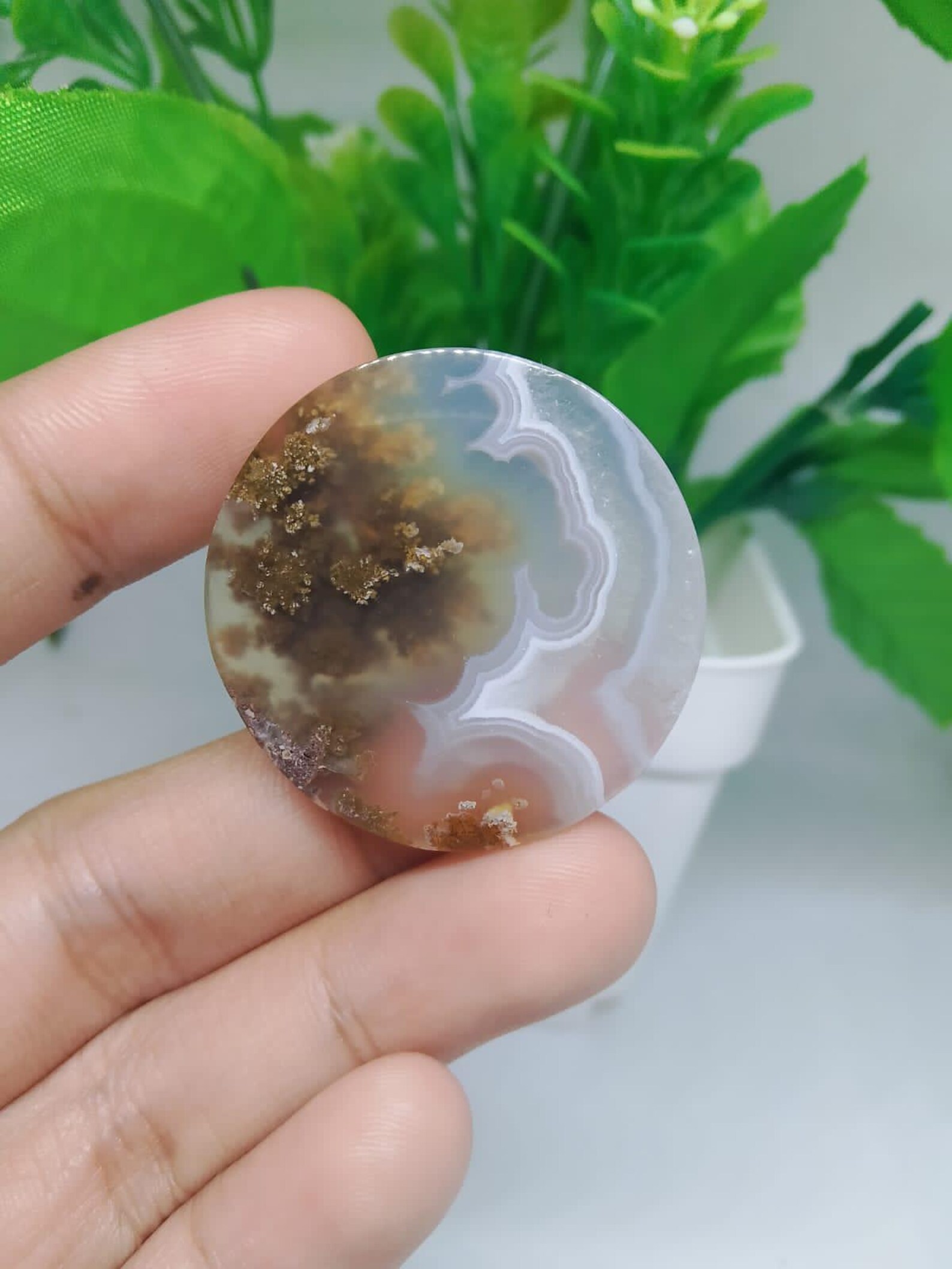 Rodaja redonda de ágata musgosa (32 mm) - Etsy México