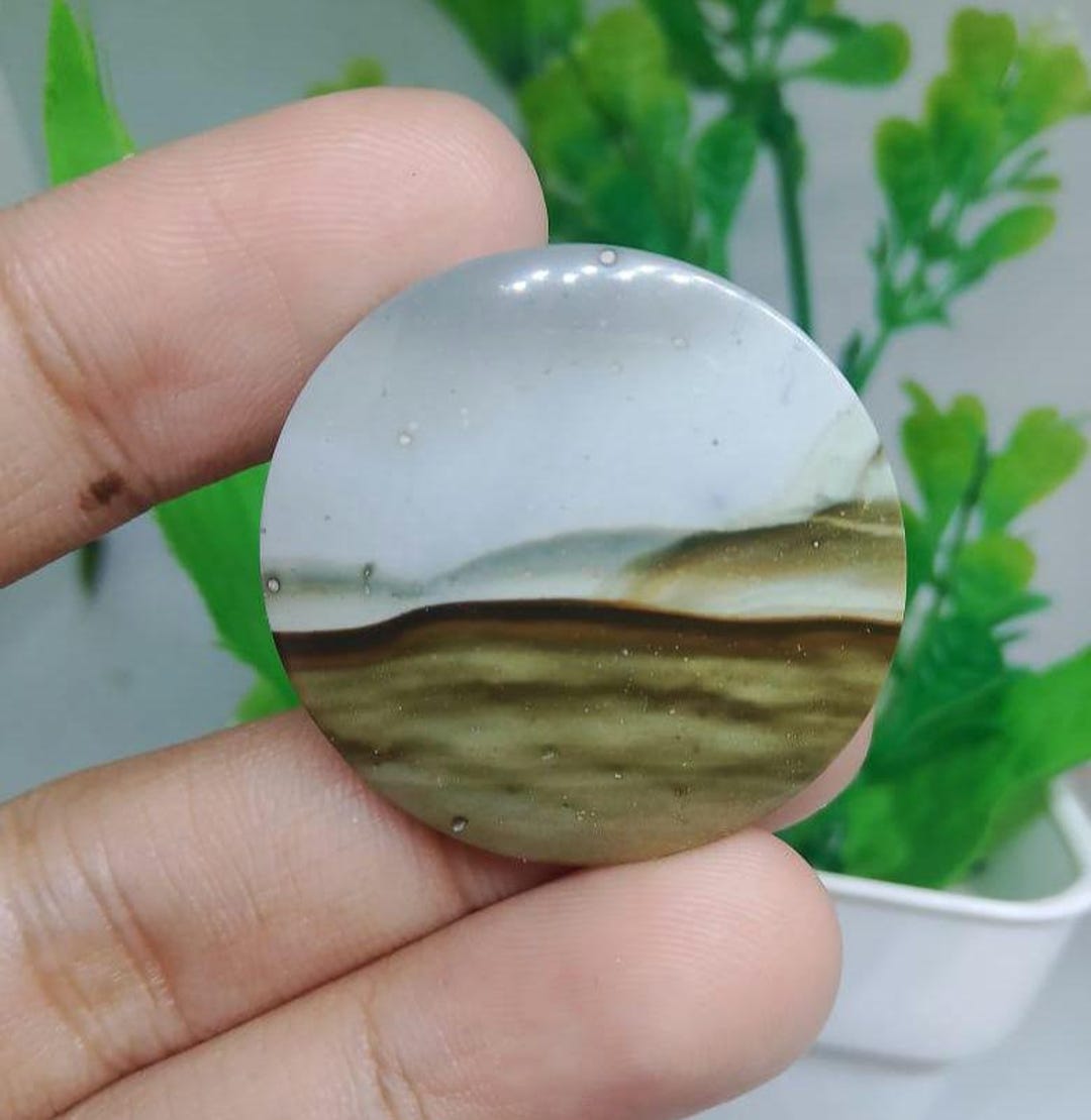 Scenic Opalized Petrified Wood Etsy