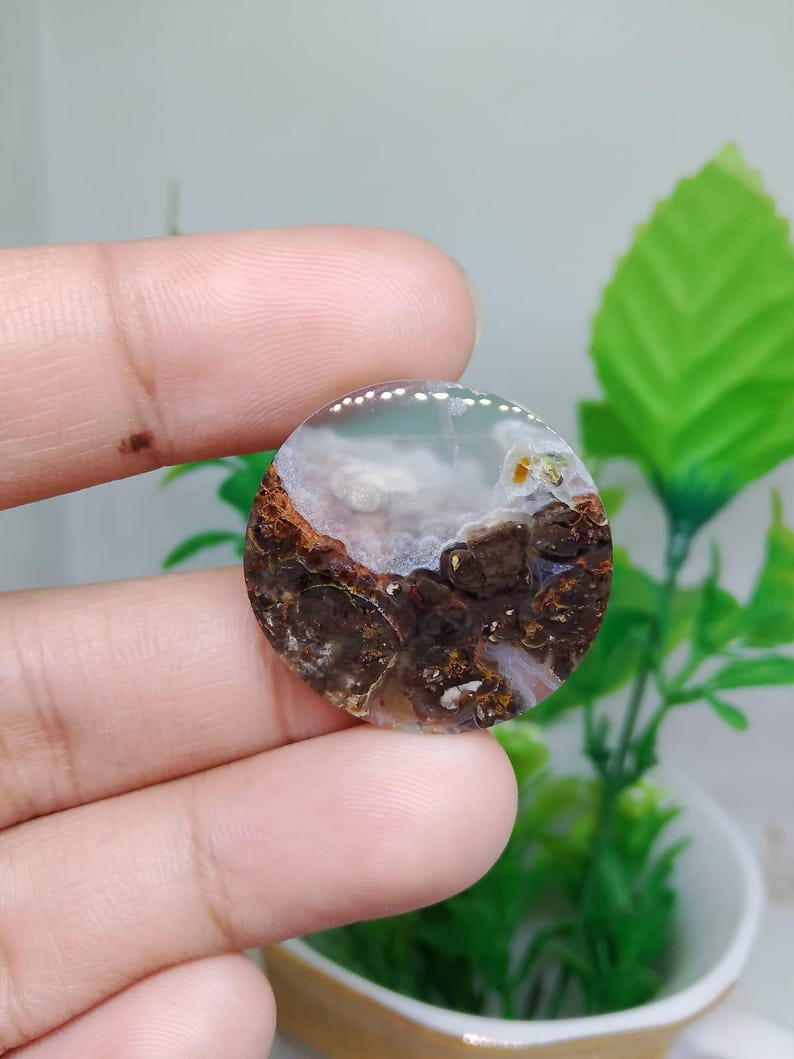 Opalized Petrified Wood - Etsy