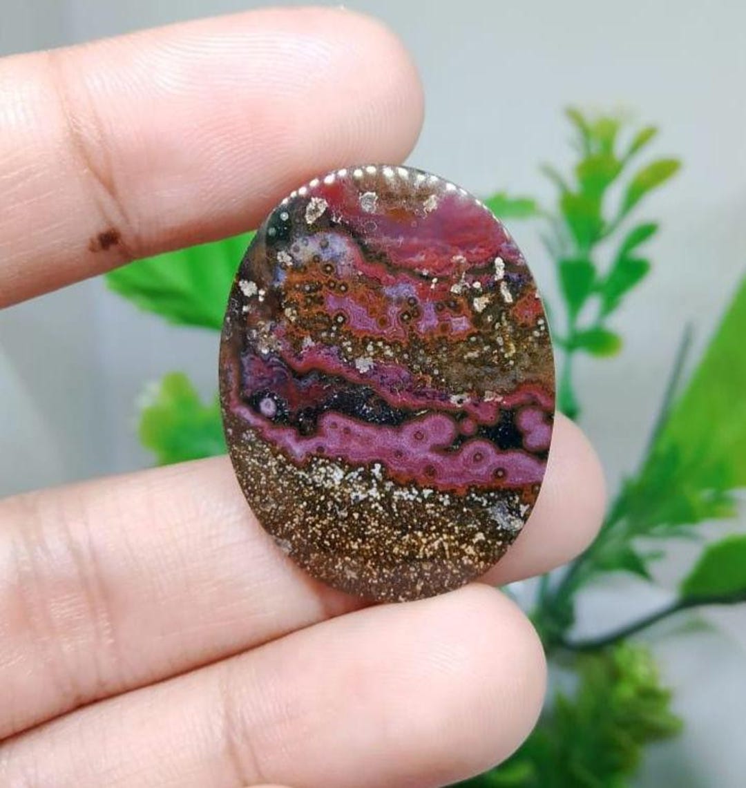 Scenic Opalized Petrified Wood - Etsy