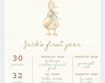 Silly Goose Birthday Favor Tags. Silly Goose Birthday Party. 1st ...