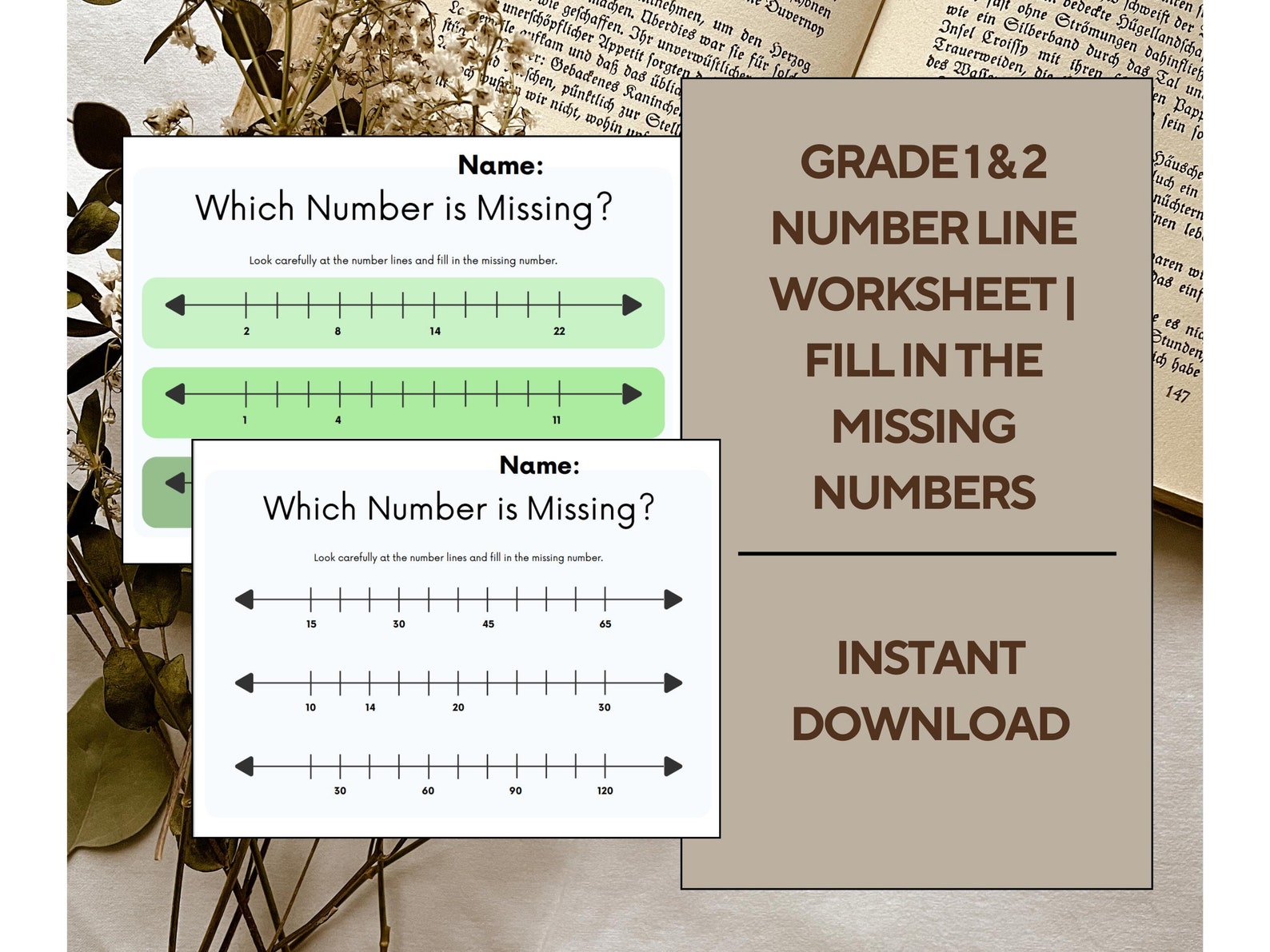 Grade 1 and 2 Number Line Worksheet Missing Numbers Activity With ...