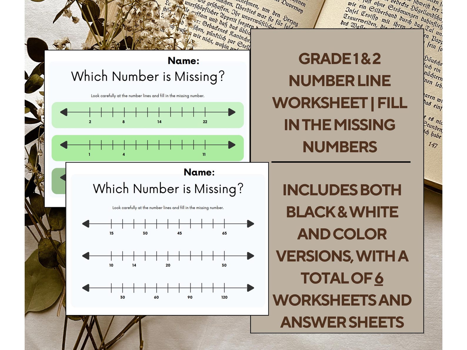Grade 1 and 2 Number Line Worksheet Missing Numbers Activity With ...
