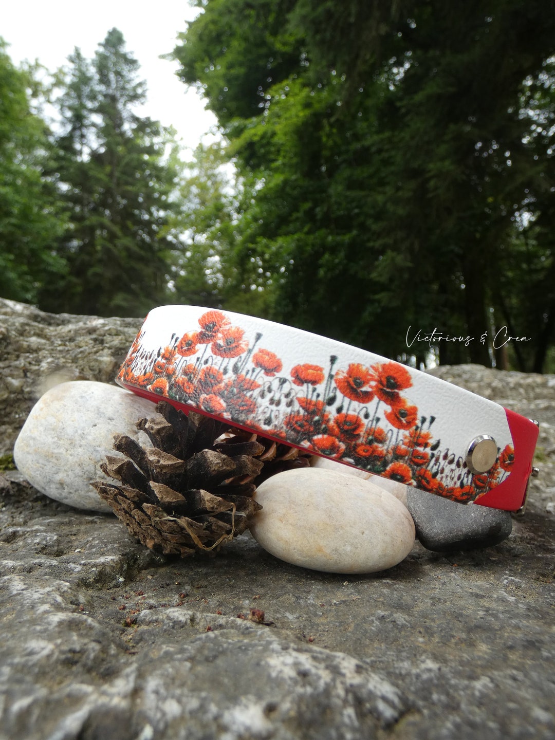 Dog Collar in Printed Biothane - Etsy