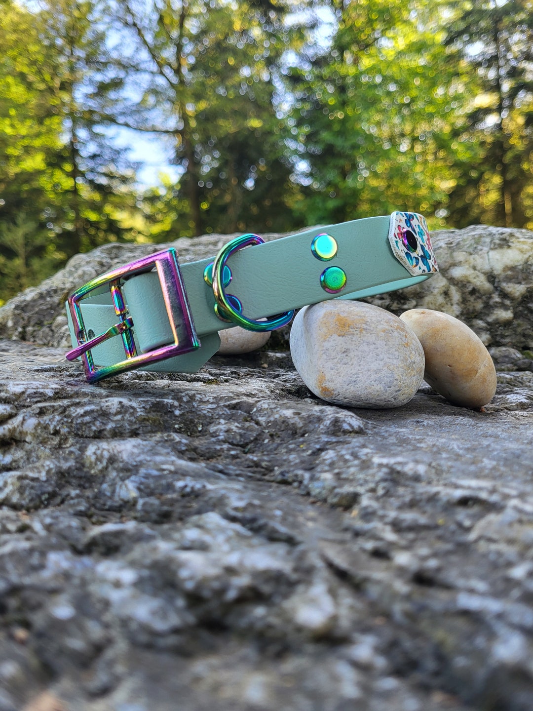 Dog Collar in Printed Biothane - Etsy