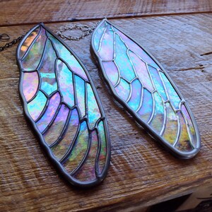Iridescent Stained Glass Cicada Insect Wing Suncatcher - Etsy