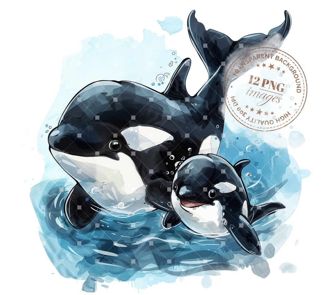 12 Cute Orca Clipart, High Quality Transparent Pngs, Instant Download ...