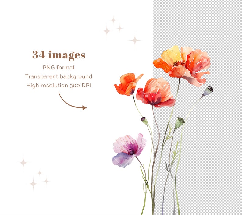 34 Watercolor Poppies Clipart, Poppy Images, High Quality Transparent ...