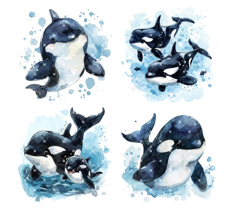 12 Cute Orca Clipart, High Quality Transparent Pngs, Instant Download ...