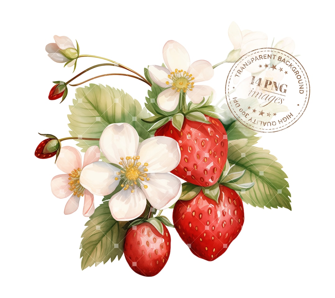 14 Strawberries, Leaves and Flowers Clipart, High Quality Transparent ...