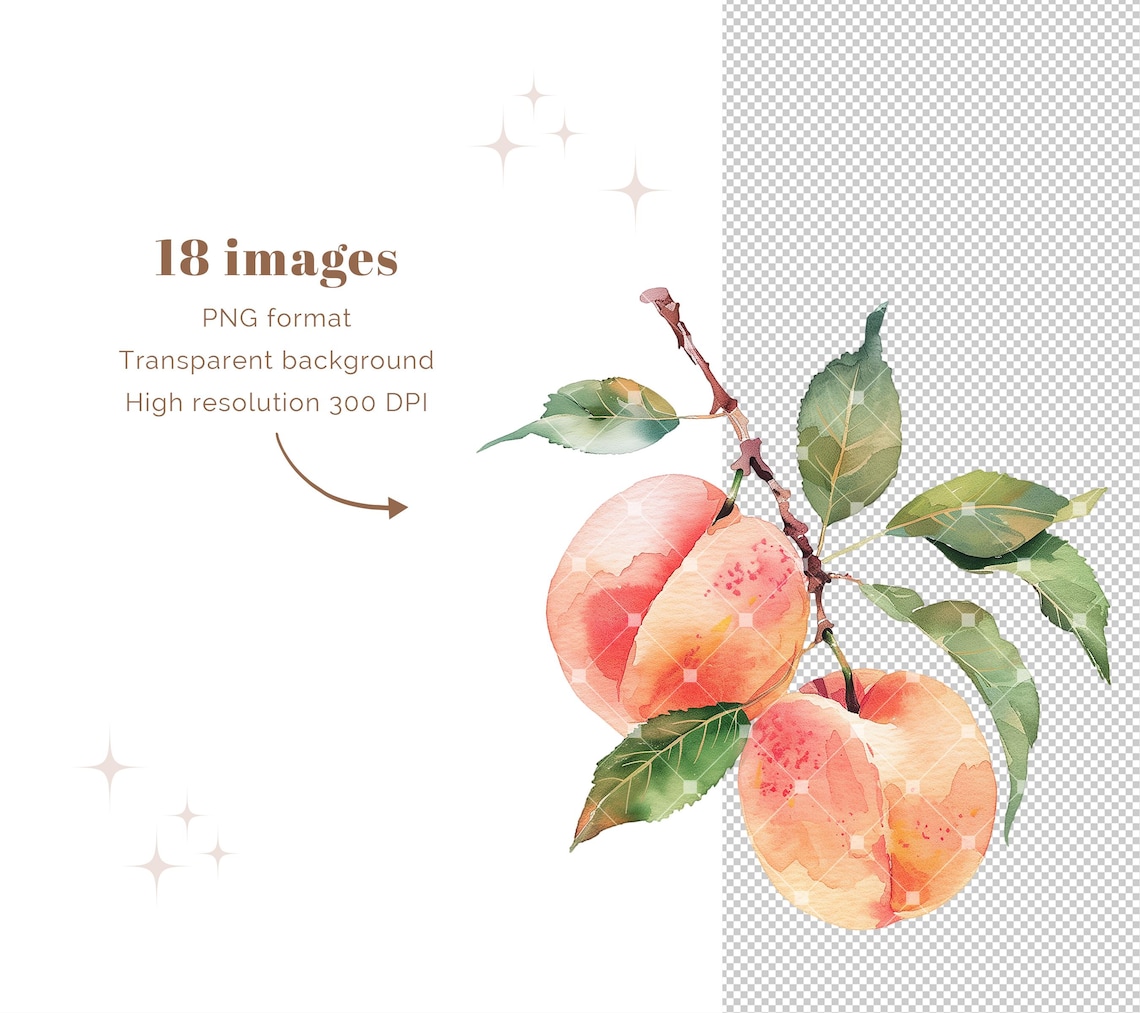 18 Watercolor Peach Clipart, High Quality Transparent Pngs, Instant ...