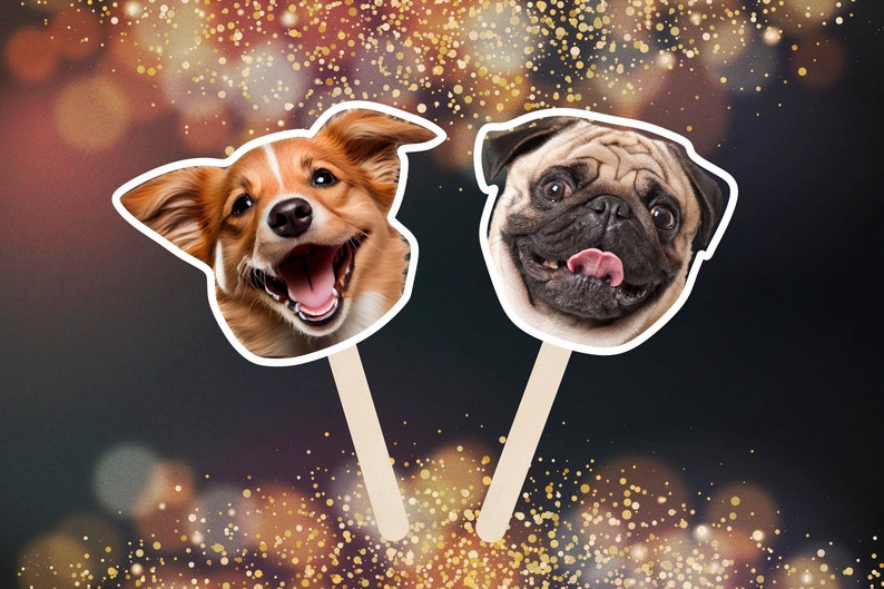 Custom Face on Stick, Big Head Cutouts for Bachelorette Party, Funny ...