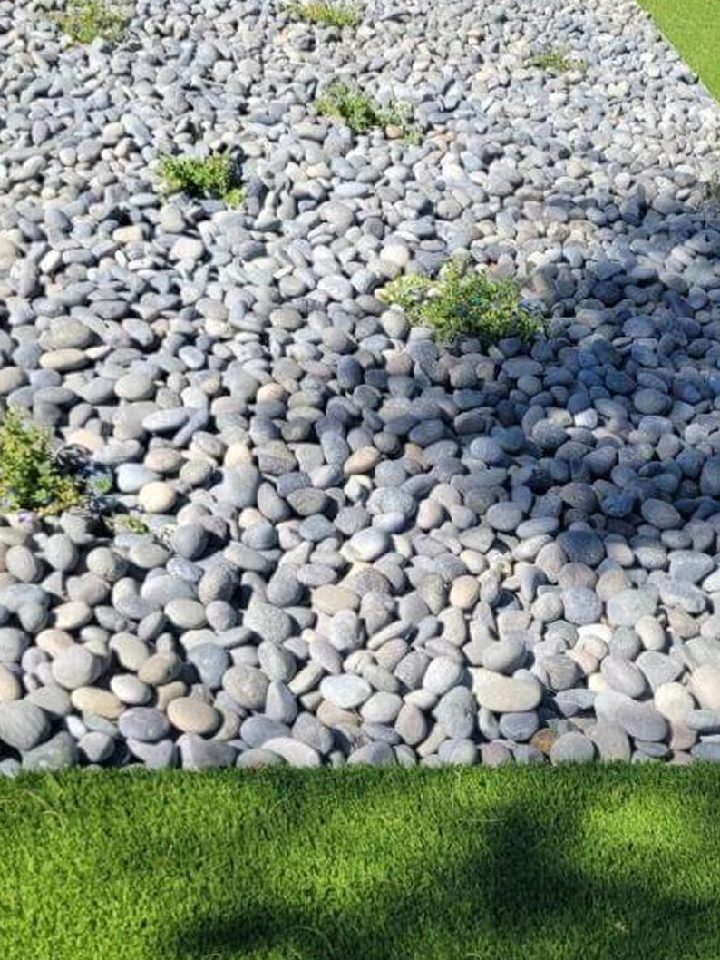 Mexican Beach Pebbles - Etsy