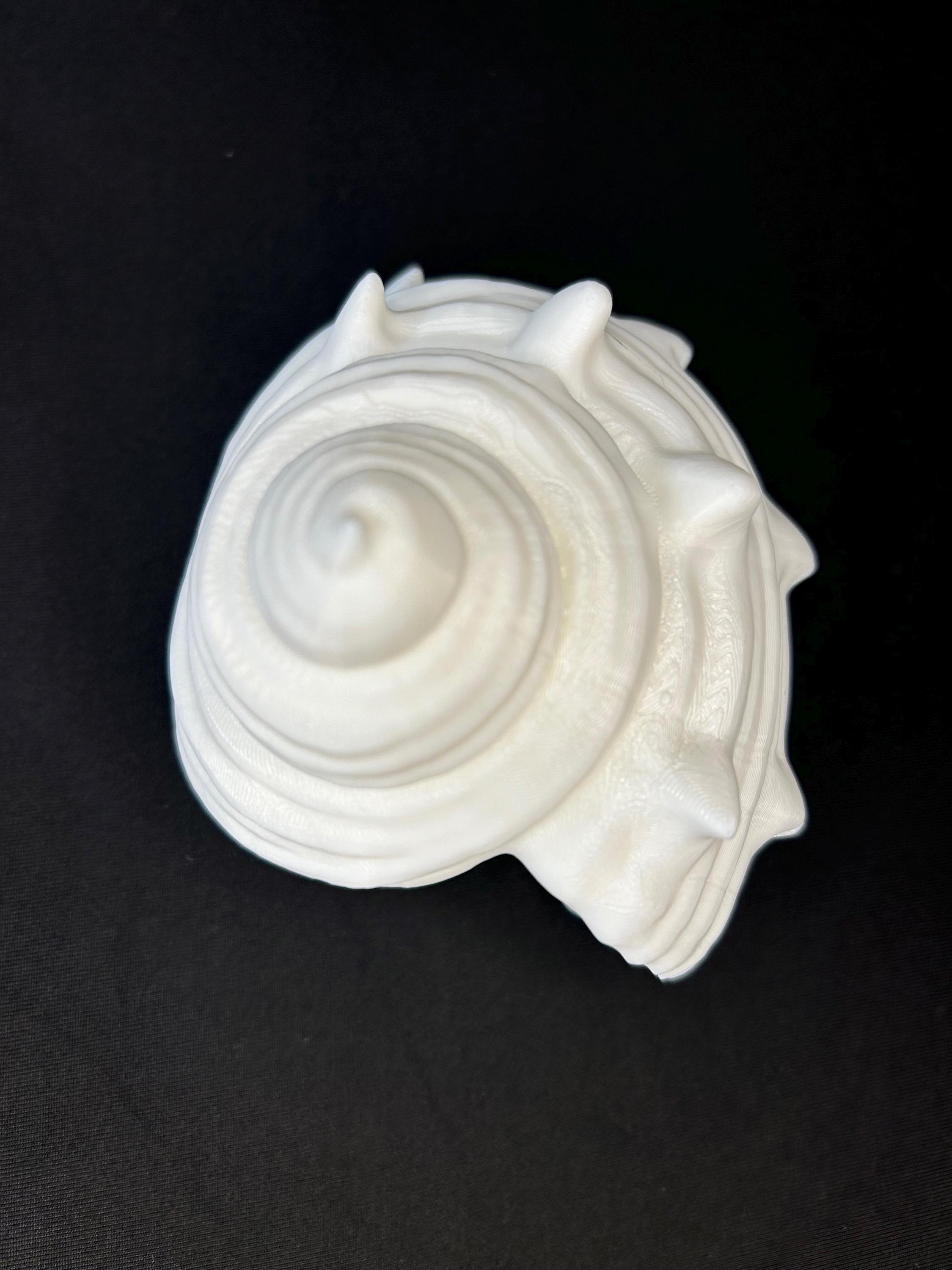 Hermit Crab Action Figure Desk Decoration Flexible Posable Fidget Shell ...