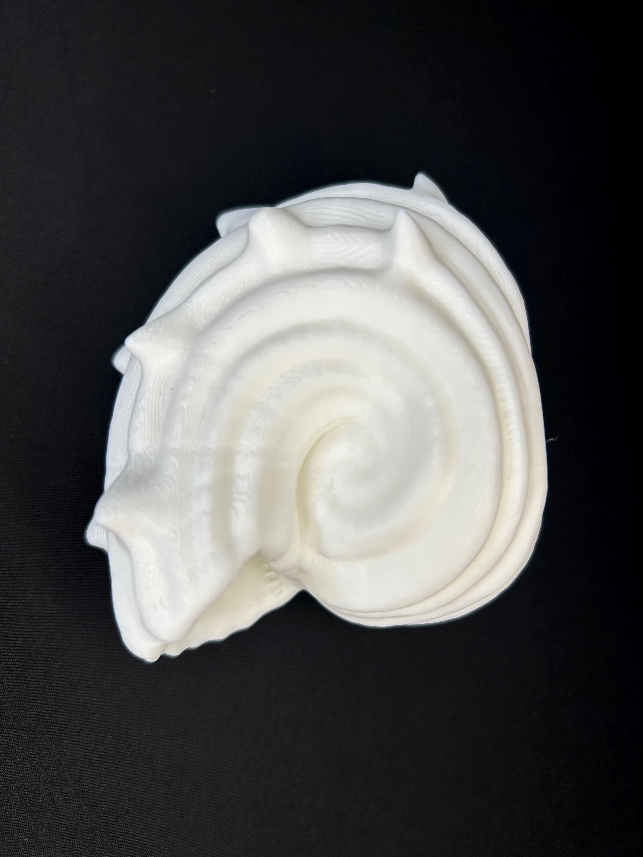 Hermit Crab Action Figure Desk Decoration Flexible Posable Fidget Shell ...