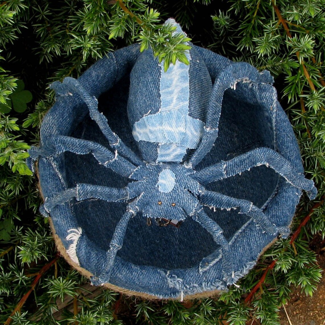 Spider Gene Therapy Upcycled Denim Gourd Bowl by Tanja Sova - Etsy