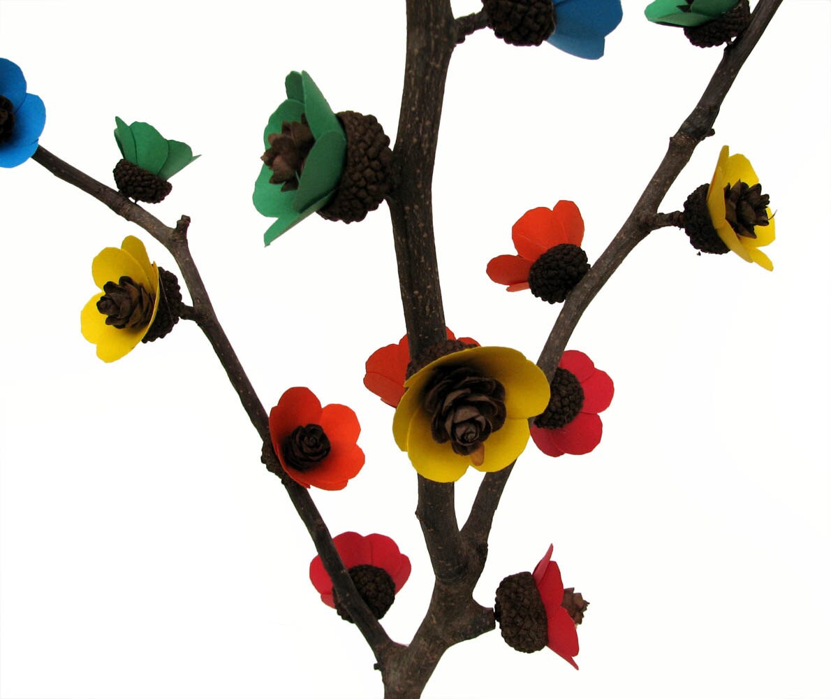 Dugino Drvo Rainbow Acorn Pine Cone Bonsai Original Art | Etsy