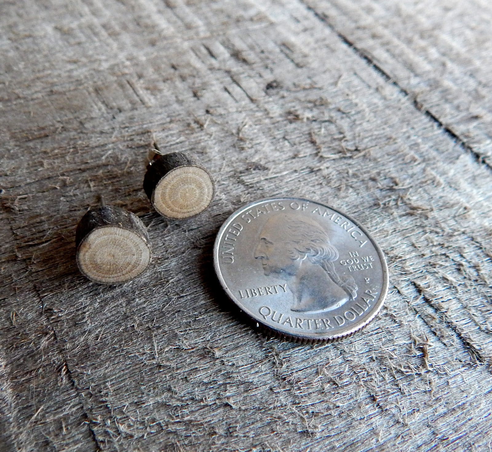 Small Magnolia Rustic Twig Wooden Stud Earrings by Tanja Sova - Etsy