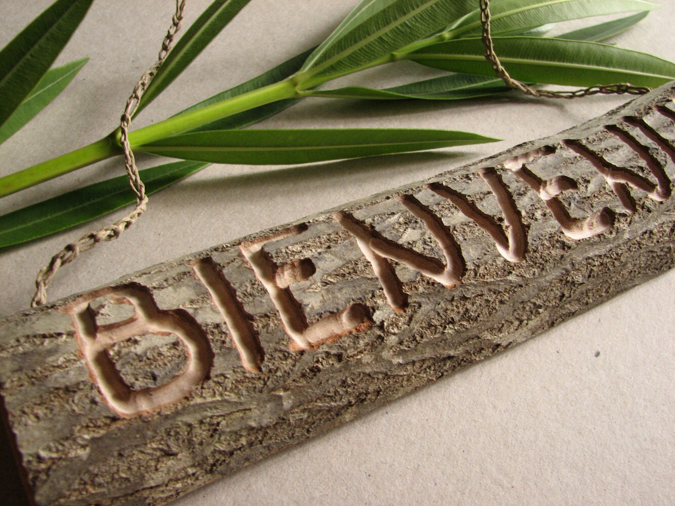 Bienvenue CARVED Rustic Organic Natural Salvaged Branch French Welcome ...