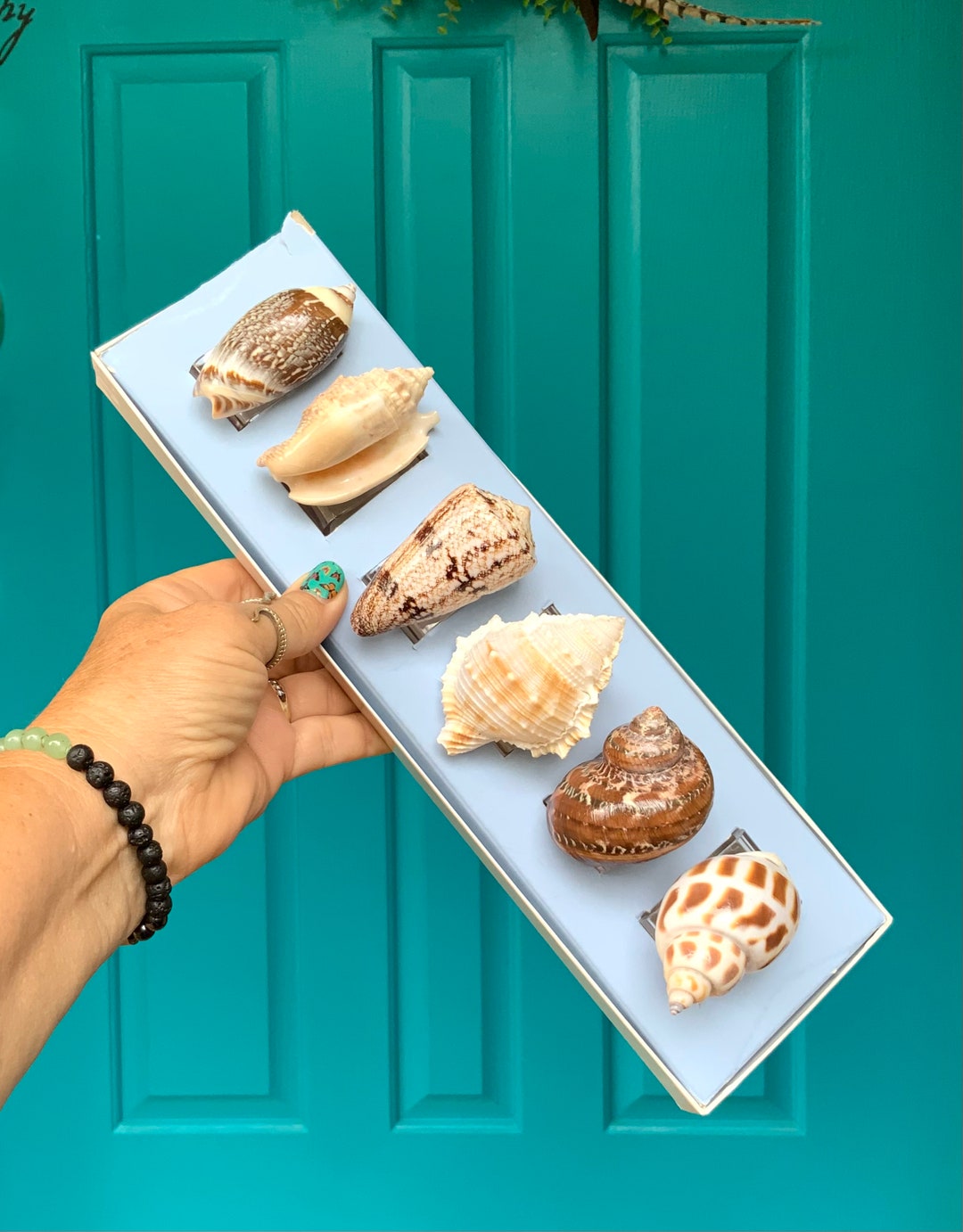 FREE Shipping-vintage Beachy set of 6 Real Seashell & Lucite Napkin ...