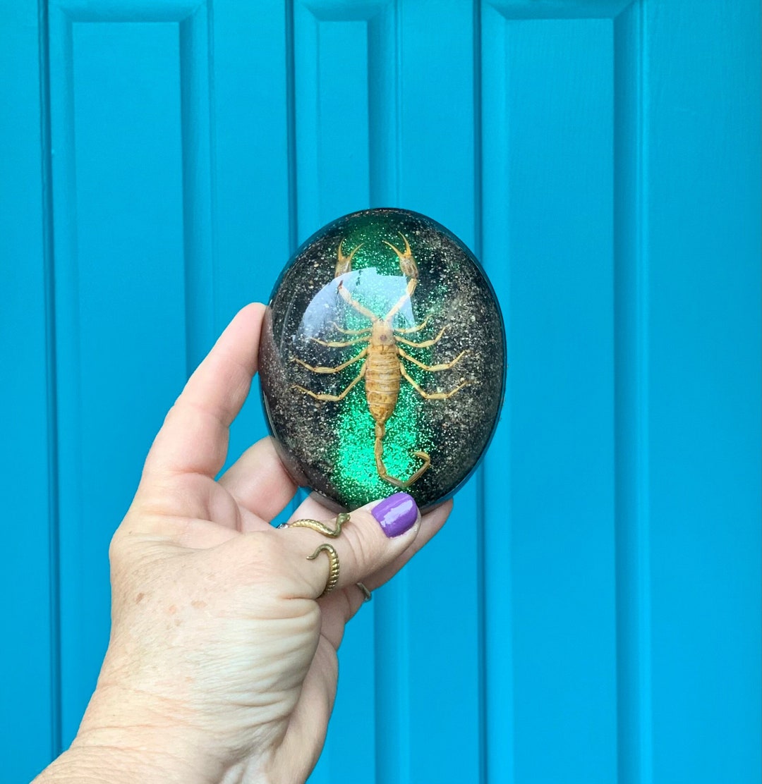 FREE Shipping-vintage Green Glitter Oval Scorpion Paperweight-incased ...