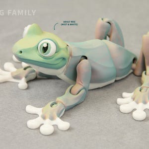 3D Printed Articulated Frog Fidget Toy: Build Your Own Family - Etsy
