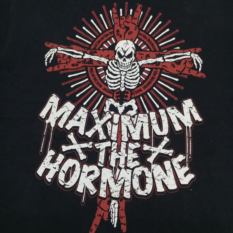 Vintage Maximum the Hormone Japanese Rock Band Music Tshirt - Etsy
