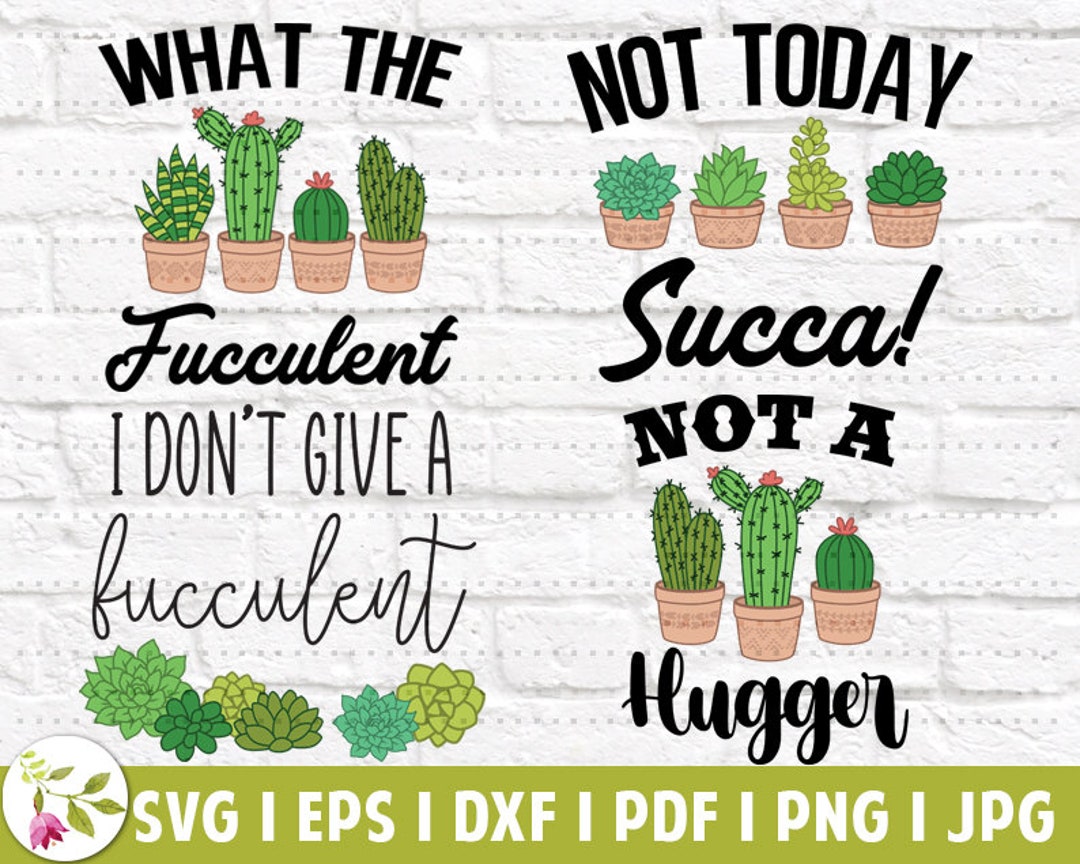 Fucculent Bundle EPS | Cactus Plant SVG | Not A Hugger | Not Today ...