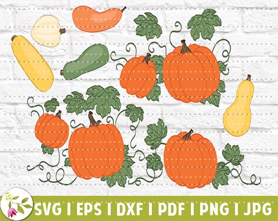 Pumpkin and Squash EPS Fall Harvest SVG Farm to Table - Etsy