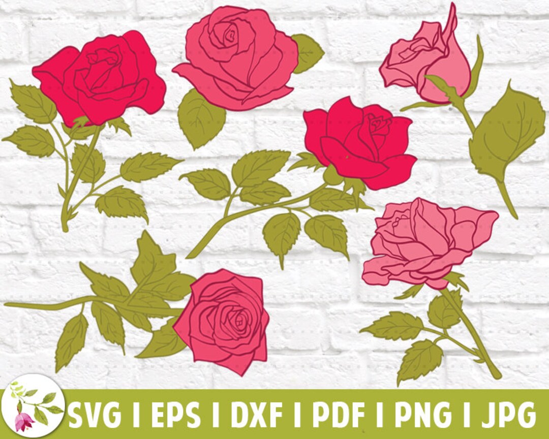 Vintage Roses SVG Bundle | SVG Cut Files | Instant Download | Printable ...