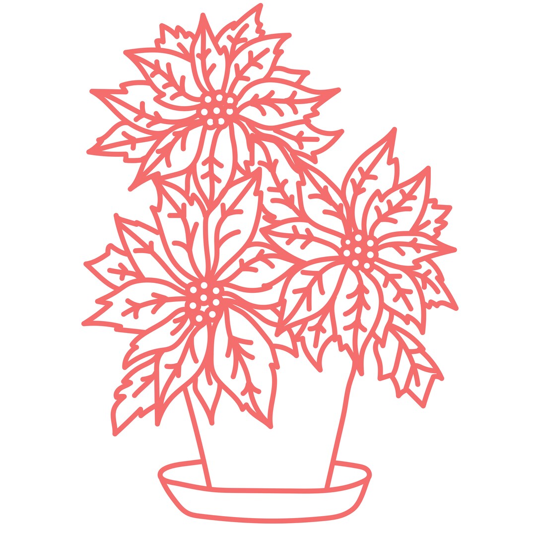 Poinsettias Cut File .SVG .DXF .PNG .pdf - Etsy