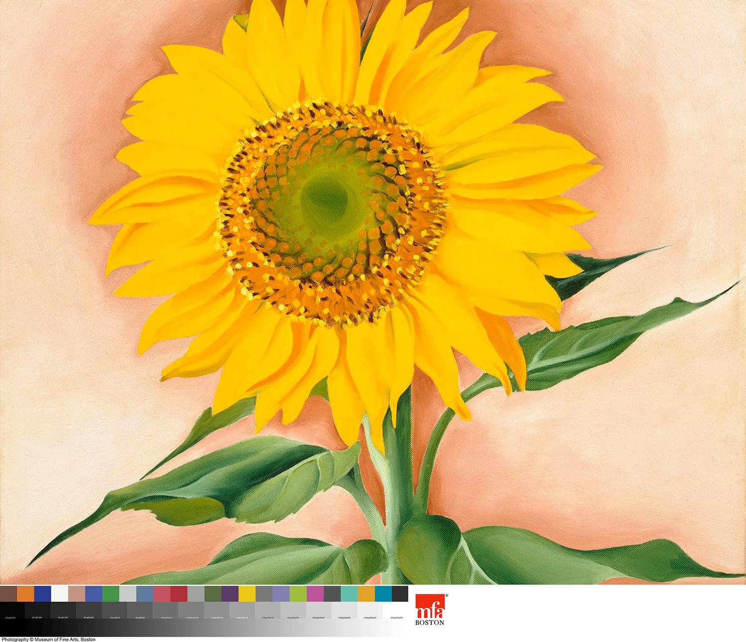 Georgia Totto O'keeffe,home Office Decor, American Modernism,giclee ...