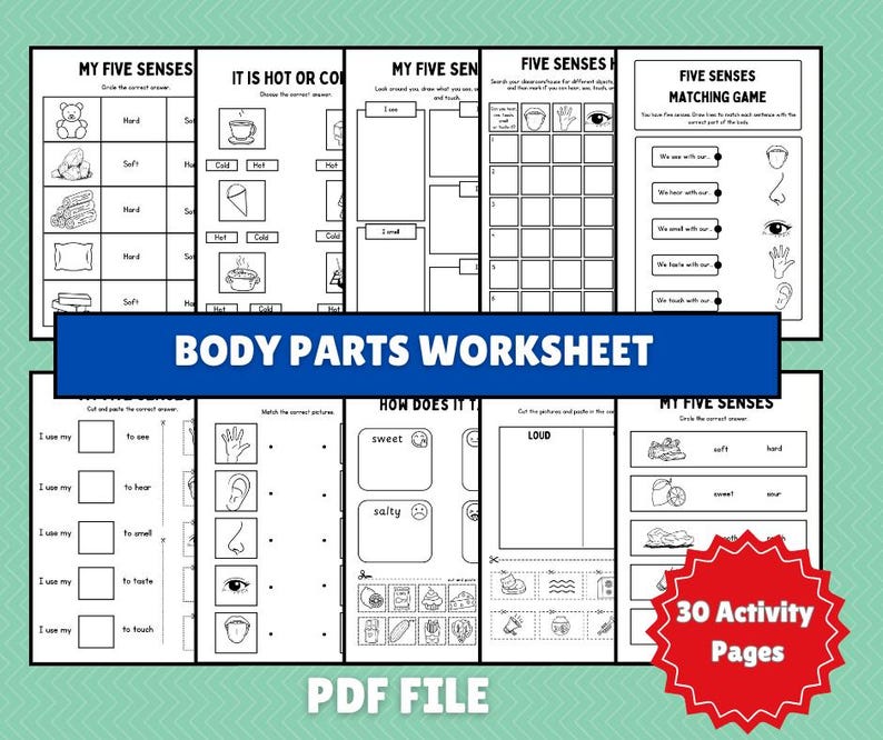 Combo 30 Activity Pages Pdf-body Parts - Etsy