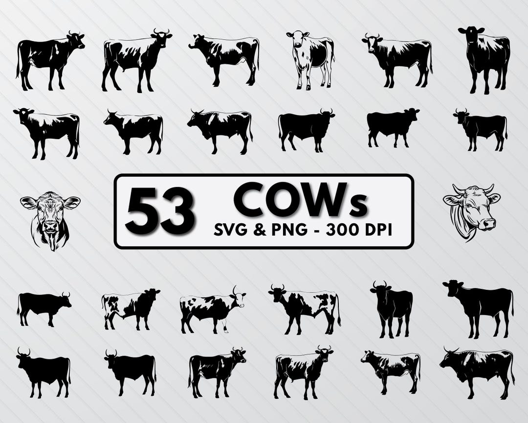 Cow Svg Bundle, Cows Silhouette, Cute Cow Clipart Png, Highland Cow ...