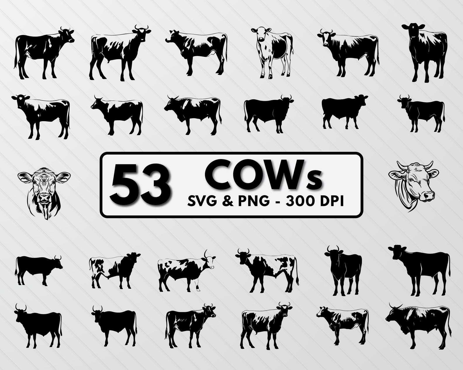 Cow Svg Bundle, Cows Silhouette, Cute Cow Clipart Png, Highland Cow ...