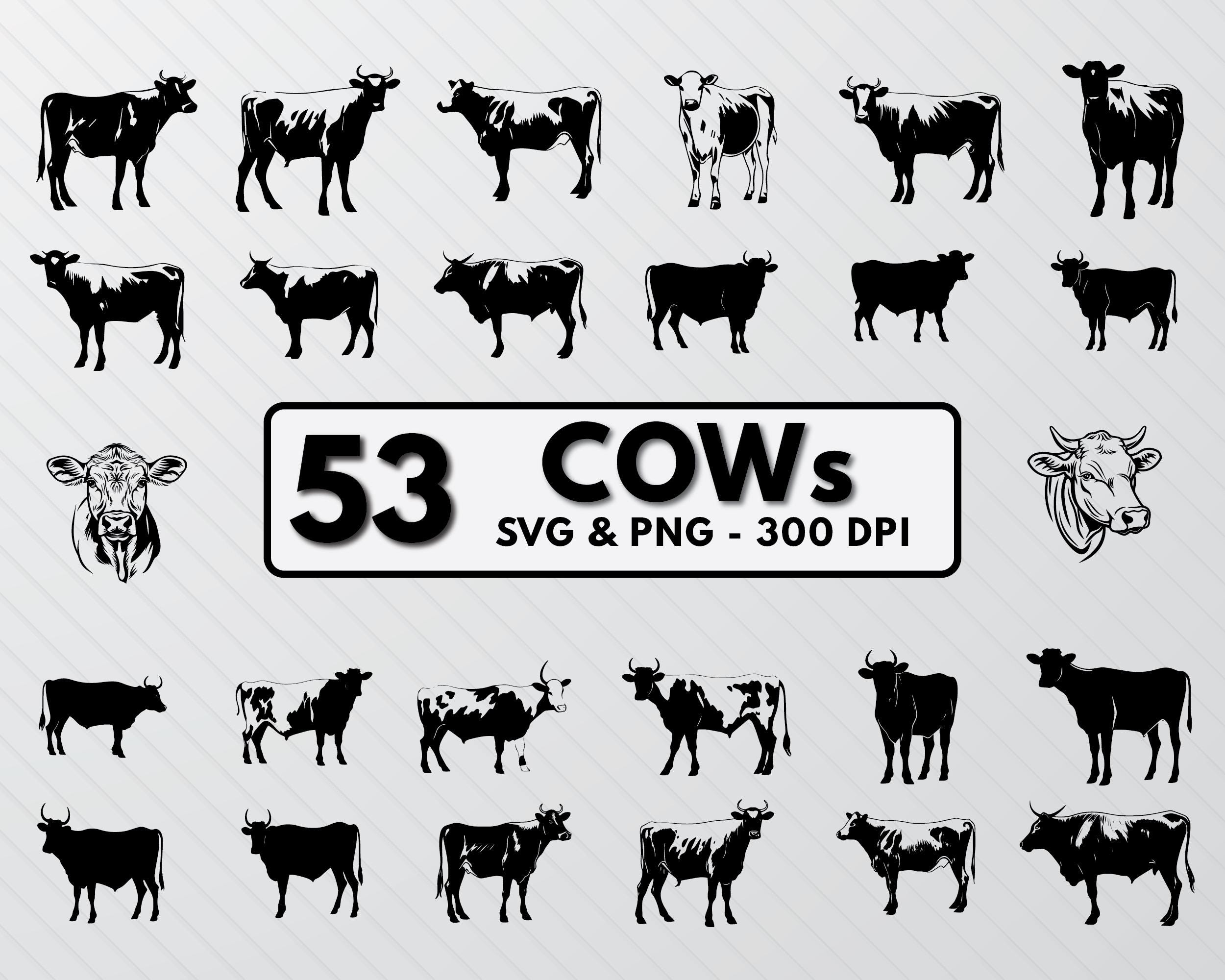 Cow Svg Bundle, Cows Silhouette, Cute Cow Clipart Png, Highland Cow ...