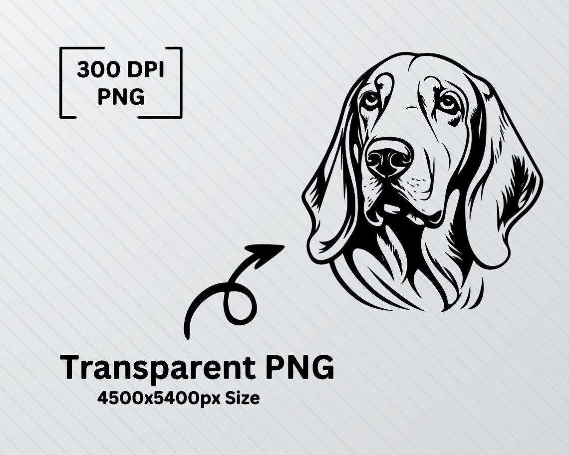 Bracco Italiano SVG Bundle: Dog Silhouette Clipart (PNG, Vector) - Etsy