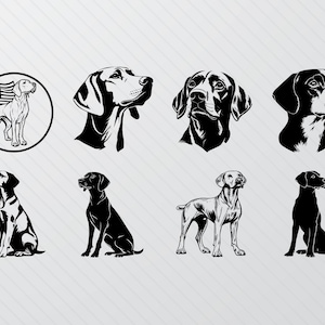 English Pointer Silhouette, Pointer Dogs Svg Bundle, Pointer Puppies ...